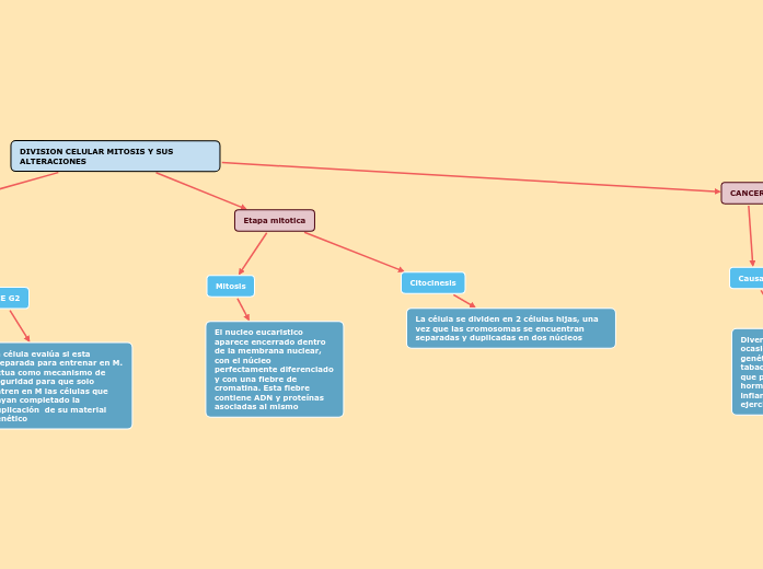 DIVISION CELULAR MITOSIS Y SUS ALTERACIONE...- Mind Map